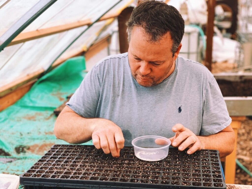 Our Newsletter - Blackcat Restaurant | Farm to Table Boulder