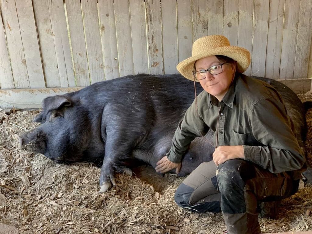 Livestock Management at Black Cat + Saturday Market - Blackcat ...