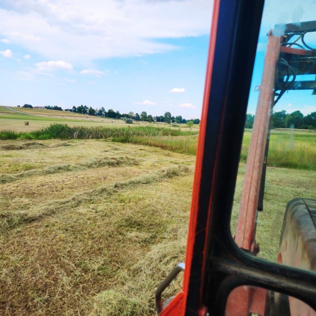 Home - Blackcat Restaurant | Farm to Table Boulder